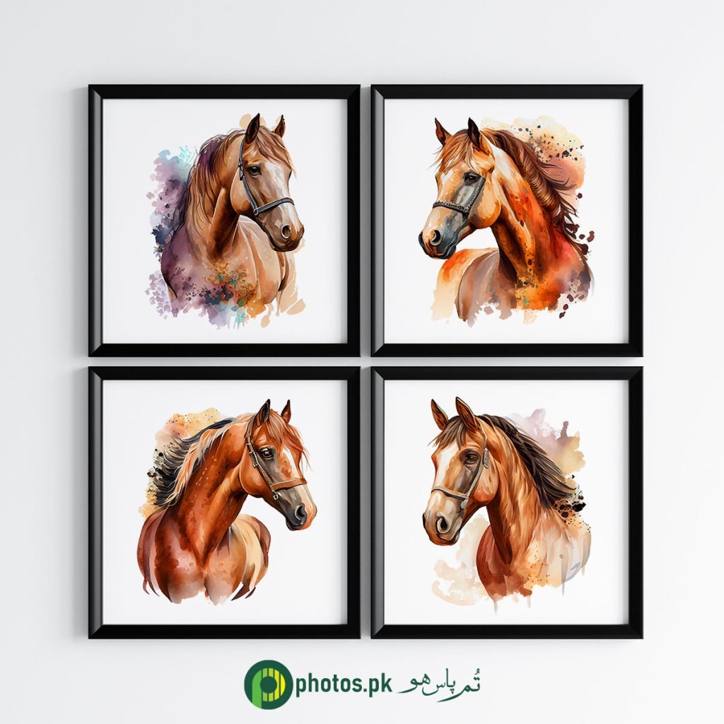 Beautiful Horses Photo Frames - Photos.pk | Tum Paas Ho
